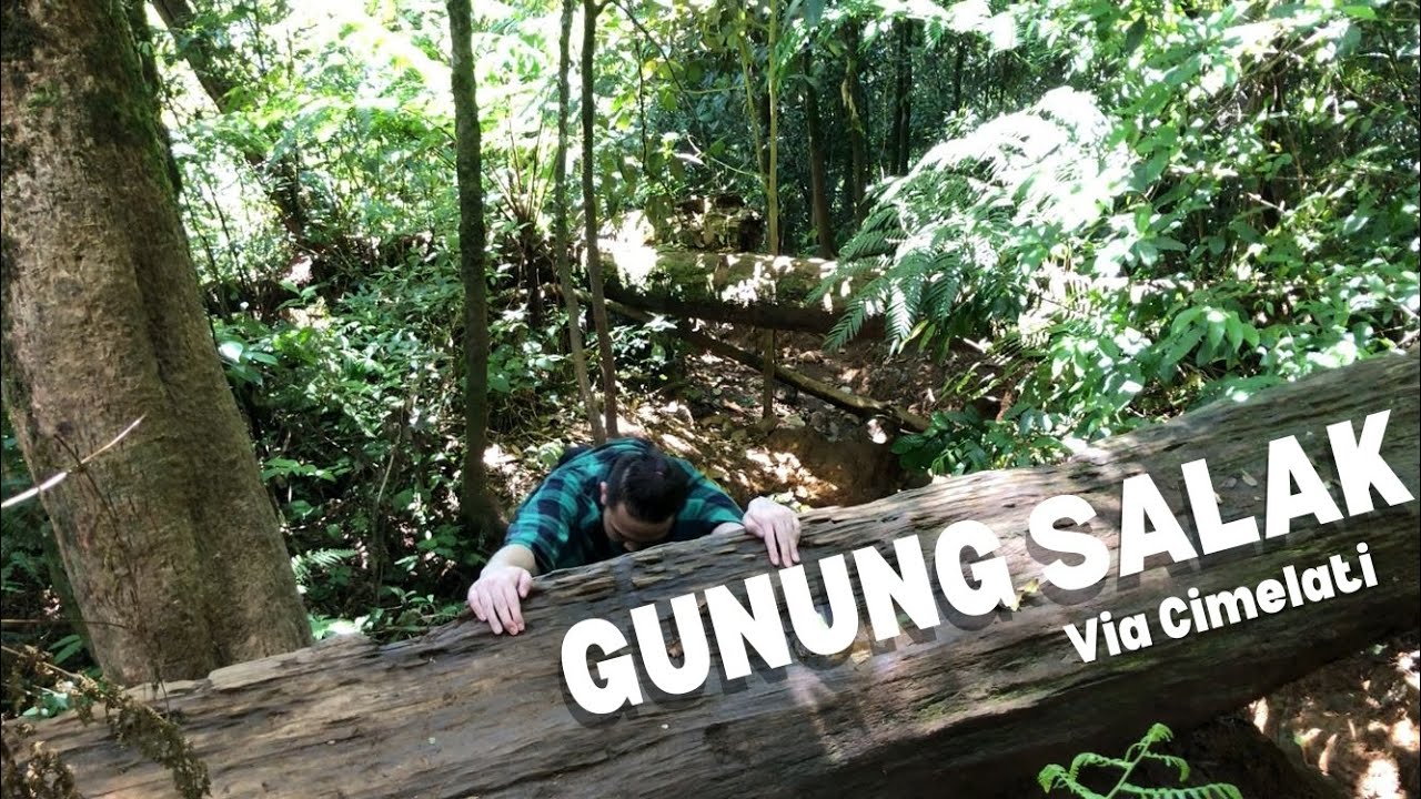 Gunung Salak via Cimelati Tektok + Info Basecamp, Simaksi, Jalur ...
