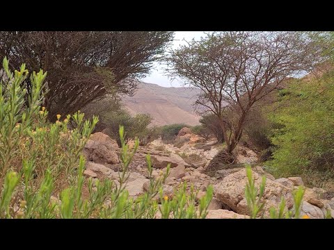 MOUNT URAIDH RIYADH - THE HIDDEN SPRING جبل عريد الرياض - الربيع الخفي ...