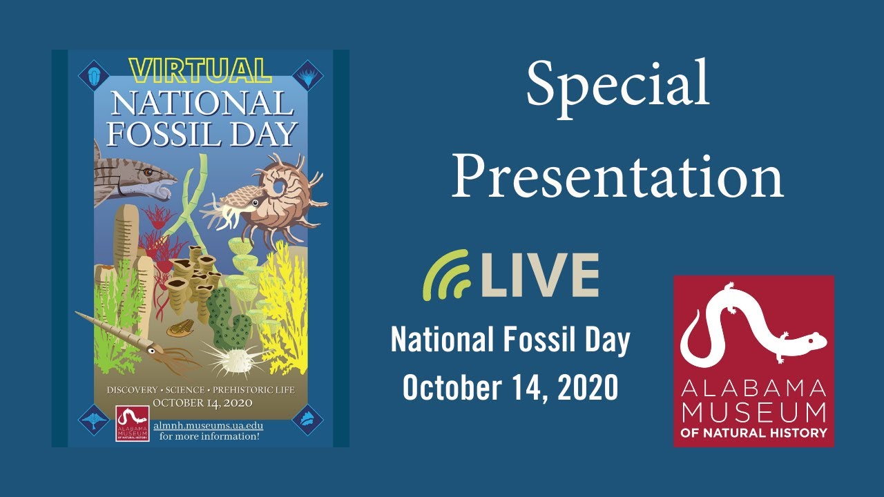National Fossil Day: Special Presentation - YouTube