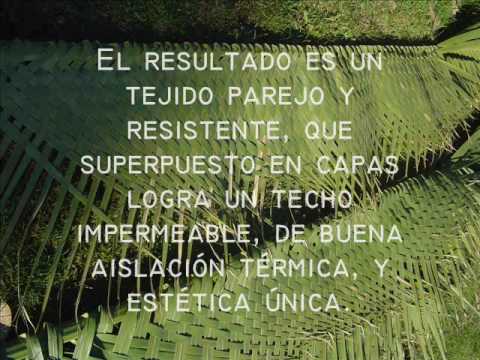 Makuti roof / Techo de Palma - YouTube