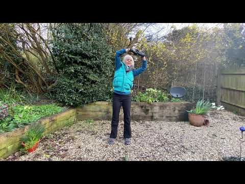Tai Chi Warm Up