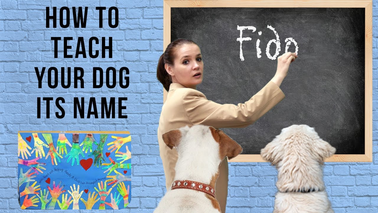 How to Teach Your Dog His/Her Name - YouTube