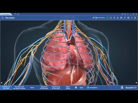 EduBoard Interactive whiteboard solutions - mozaBook - YouTube