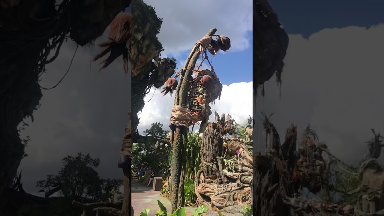 Pandora – The World of Avatar @ Disney’s Animal Kingdom | Hallelujah ...