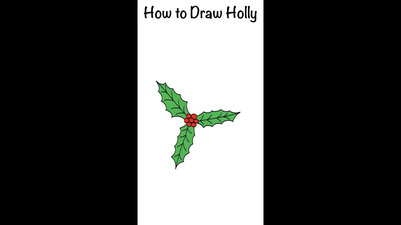 🔴 How to Draw Holly Flower Plants for Beginners Easy Step by Step ...