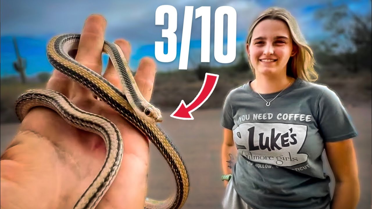 My Girlfriend Rates SNAKES by How Much They Freak Her Out! - YouTube