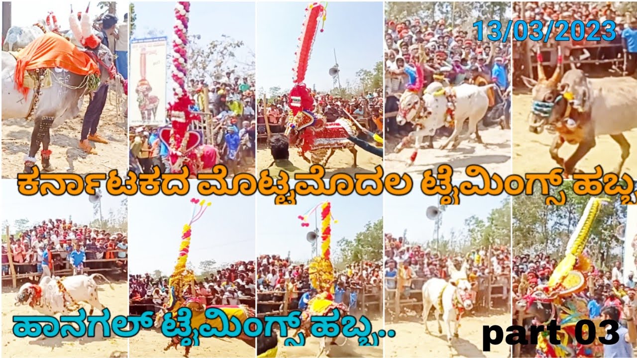 ಕರ್ನಾಟಕದ ಮೊಟ್ಟಮೊದಲ ಟೈಮಿಂಗ್ಸ್ ಹಬ್ಬ. ಹಾನಗಲ್ ಹೋರಿ ಹಬ್ಬ. Hangal hori habba ...