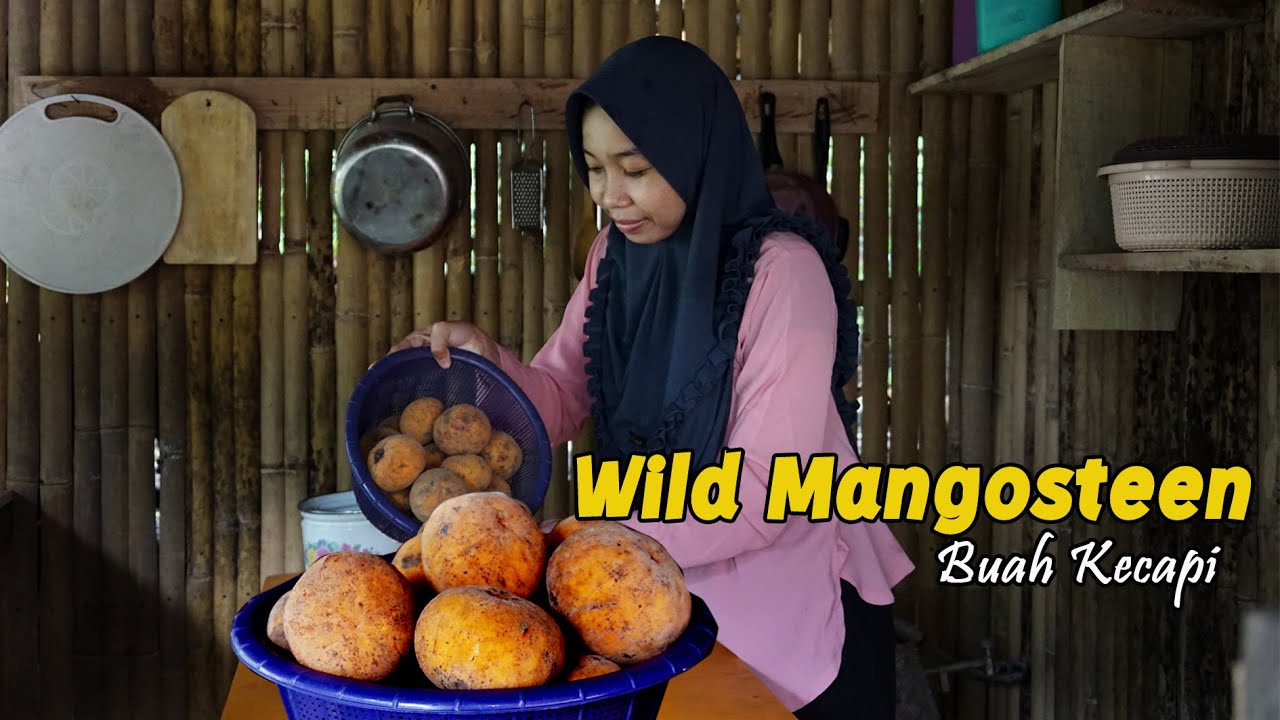Manisan Buah Kecapi ( Wild Mangosteen ) || Anni tata - YouTube