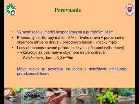 m tve drevo a jeho vyznam pre lesny ekosystem m tve drevo priestor pre ...