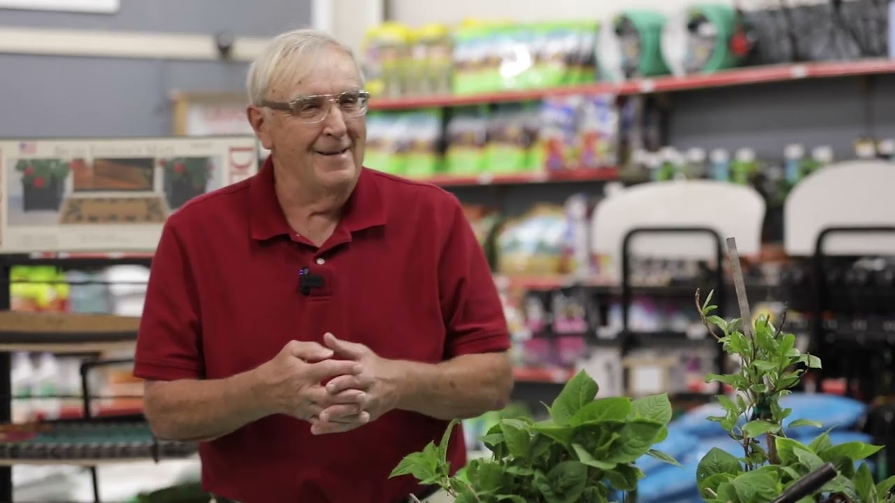 “Hydrangeas for the Modern Gardner” Dr. Michael Dirr | Cofer's Home ...