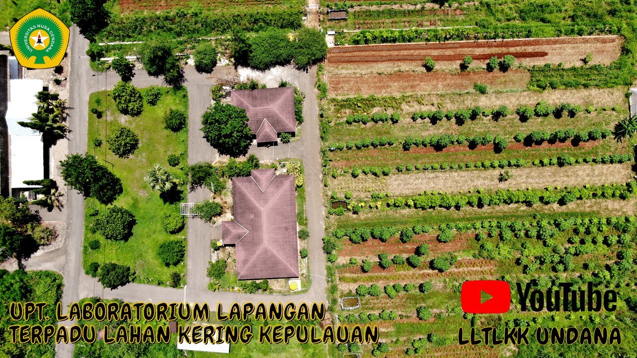 UPT. Laboratorium Lapangan Terpadu Lahan Kering Kepulauan Undana - YouTube