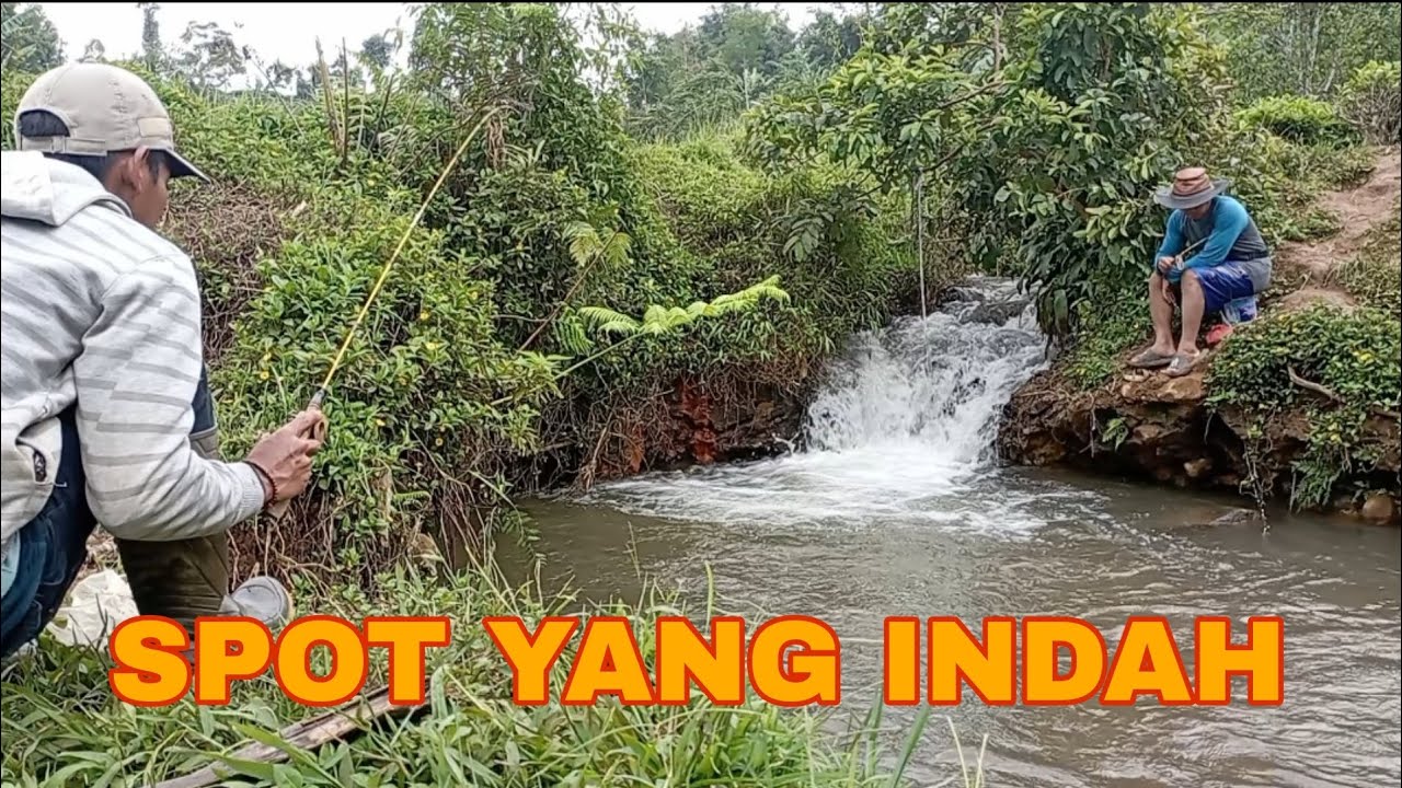 mancing di curug - YouTube