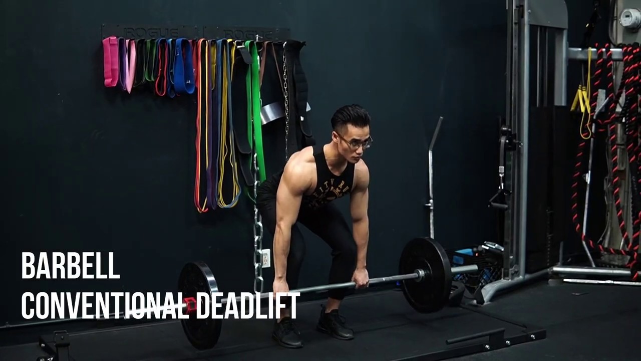 Barbell Conventional Deadlift - YouTube
