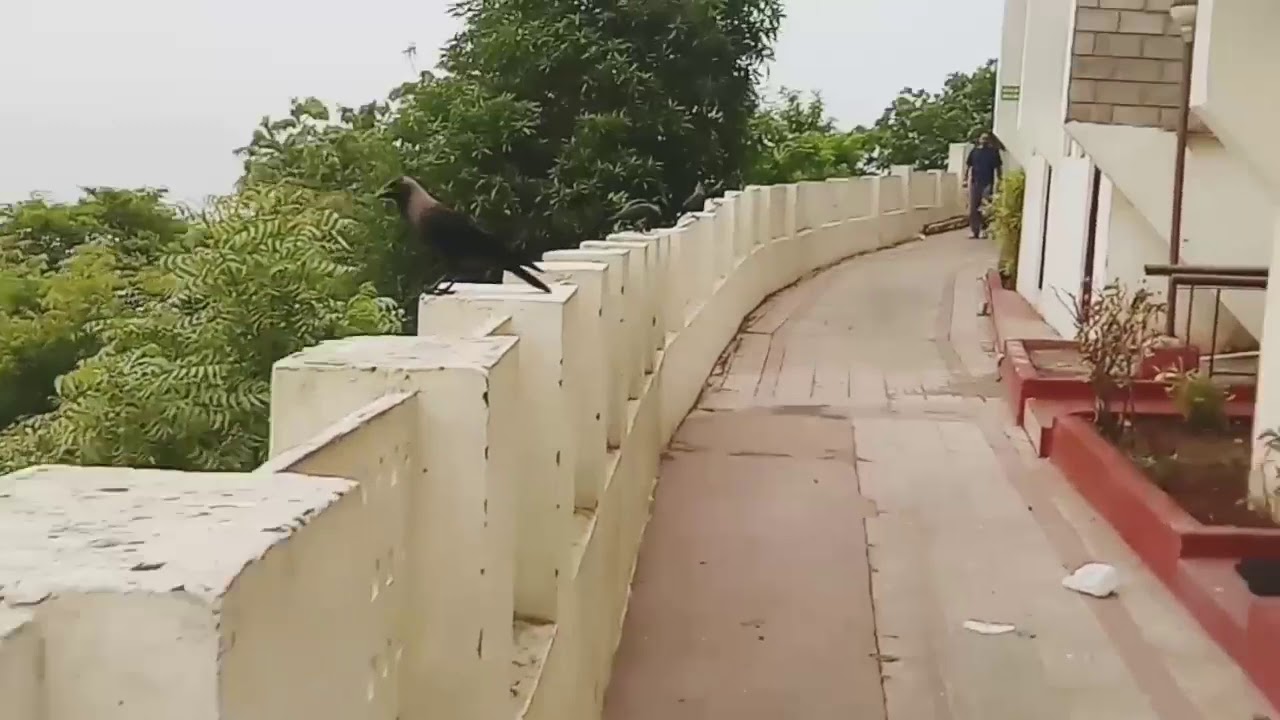 Haritha Beach Resort, Rushikonda, Vizag : Review - YouTube