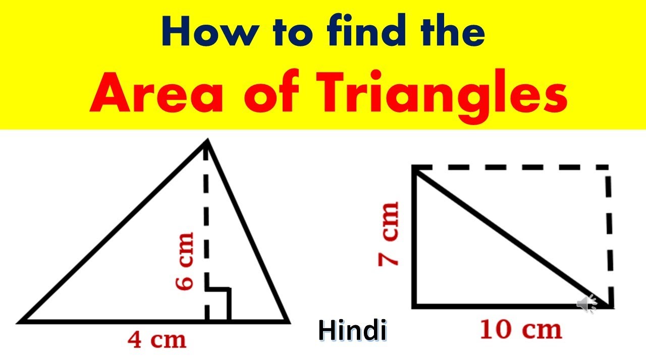 Example of How to find the Area of Triangle | Half x Base x Height ...