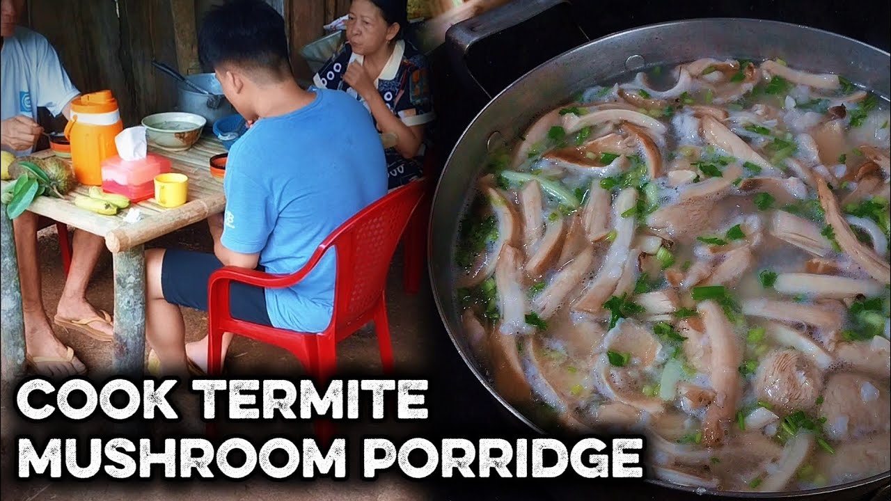 Country Life Episode 18 || Cooking Termite mushroom Porridge - YouTube