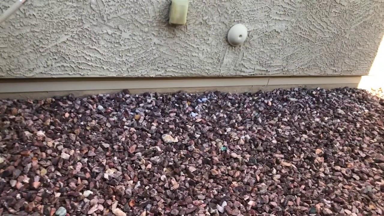 Pest Border Scorpion Barrier Pest Control Eco installation - YouTube