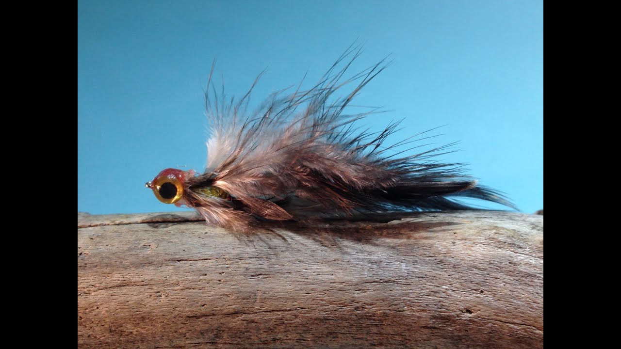 TADPOLE FLY VIDEO - YouTube