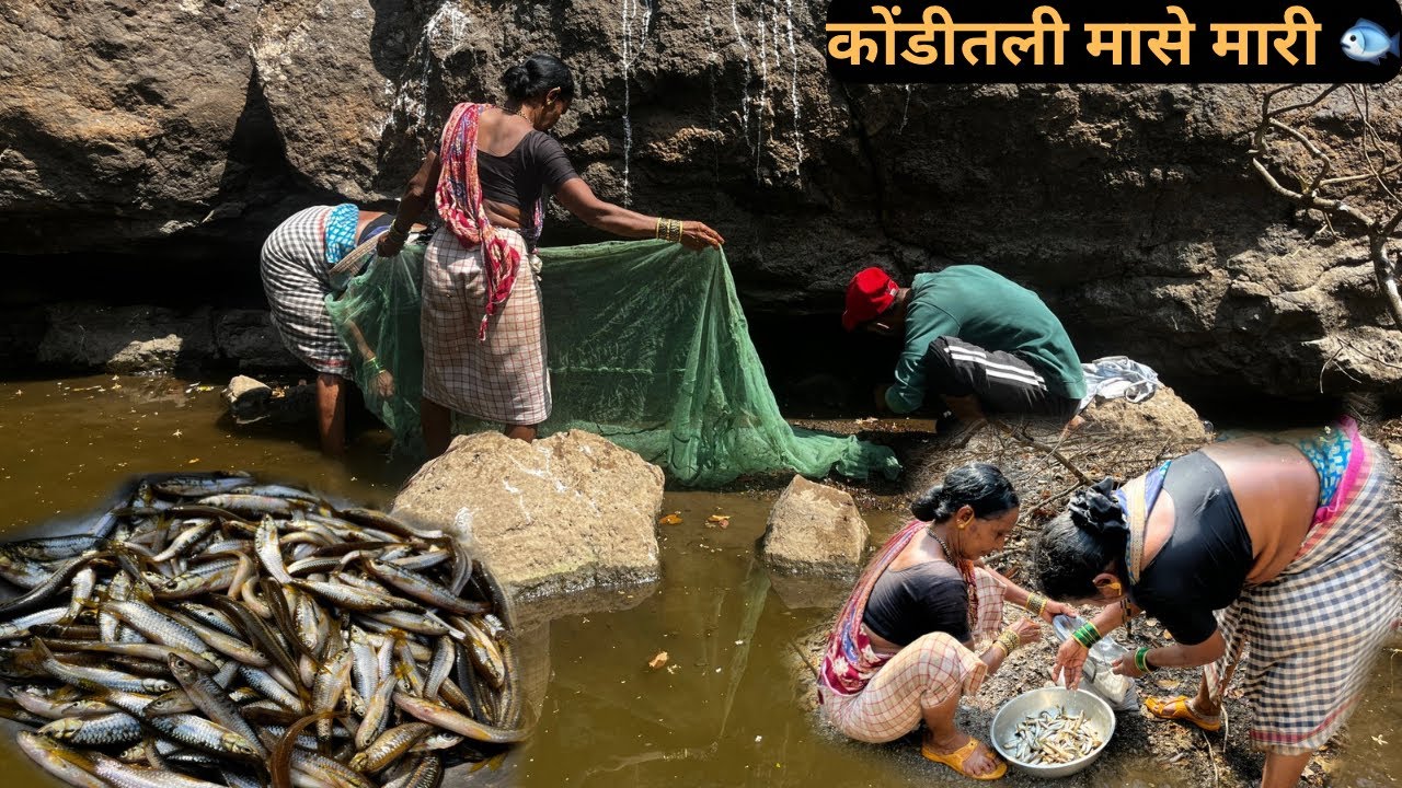 पारंपरिक पद्धतीने कोंडीतली मासे मारी |mase mari|fish 🐟🐟 - YouTube