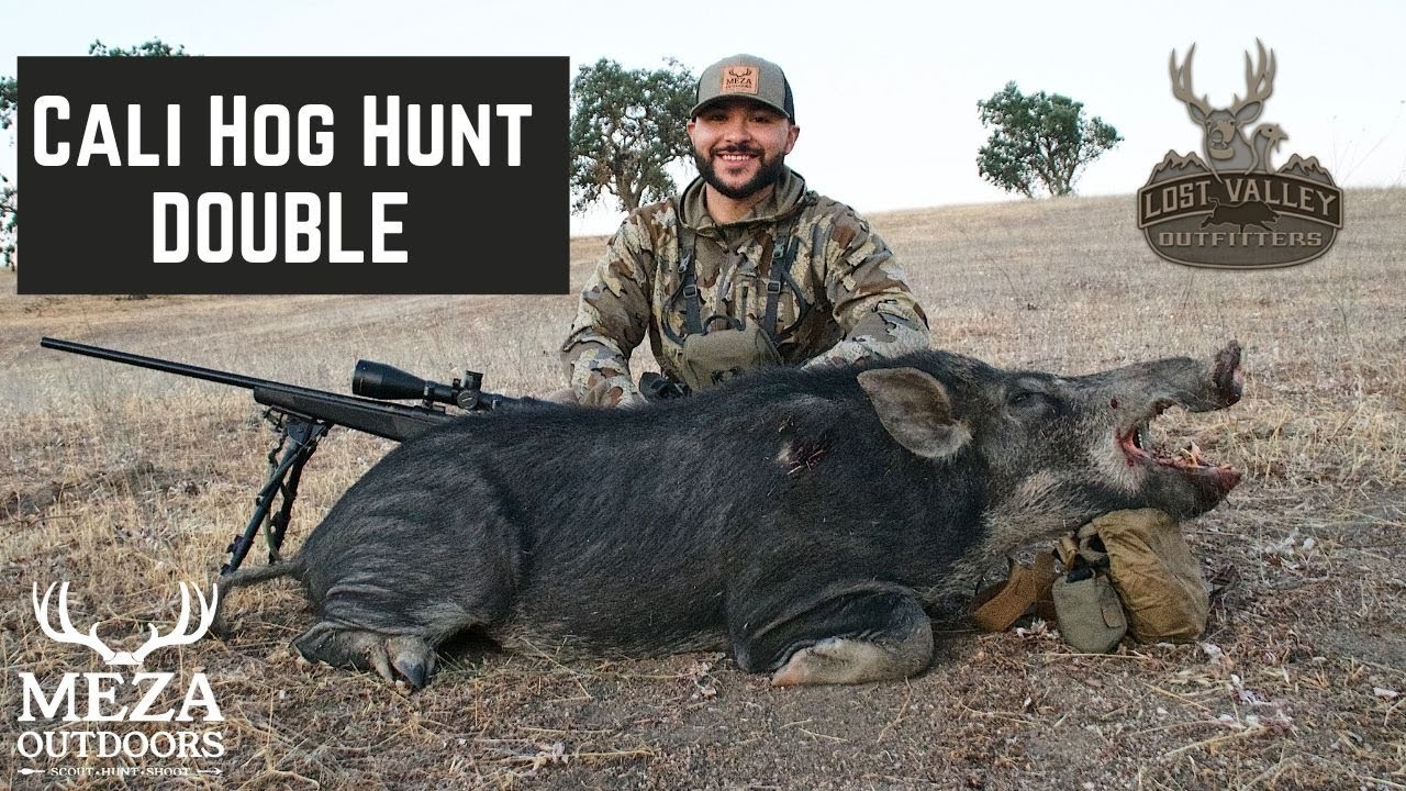 Central California Wild Pig Hunt | LVO Double - YouTube