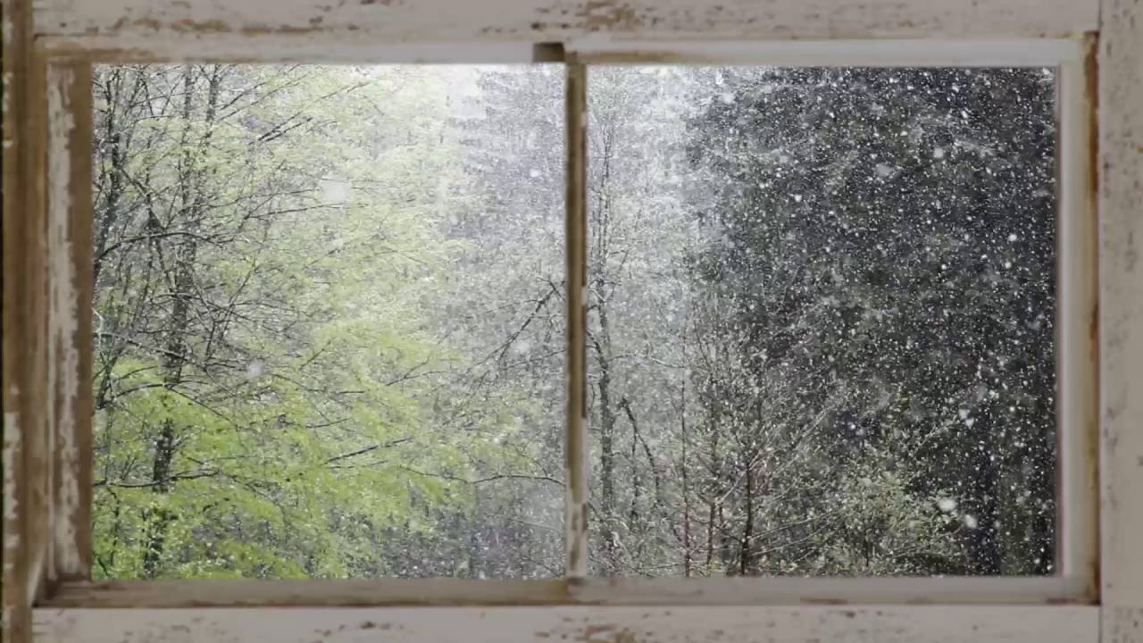 Watching The Snow Falling From The Window With The Sound of Wind And ...