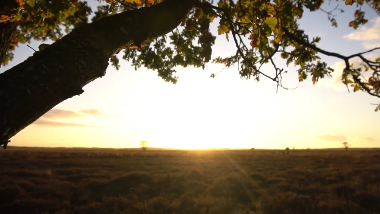 Siraph - Souzou no Ame 『1st mini album "siraph"』 (with Lyrics) - YouTube