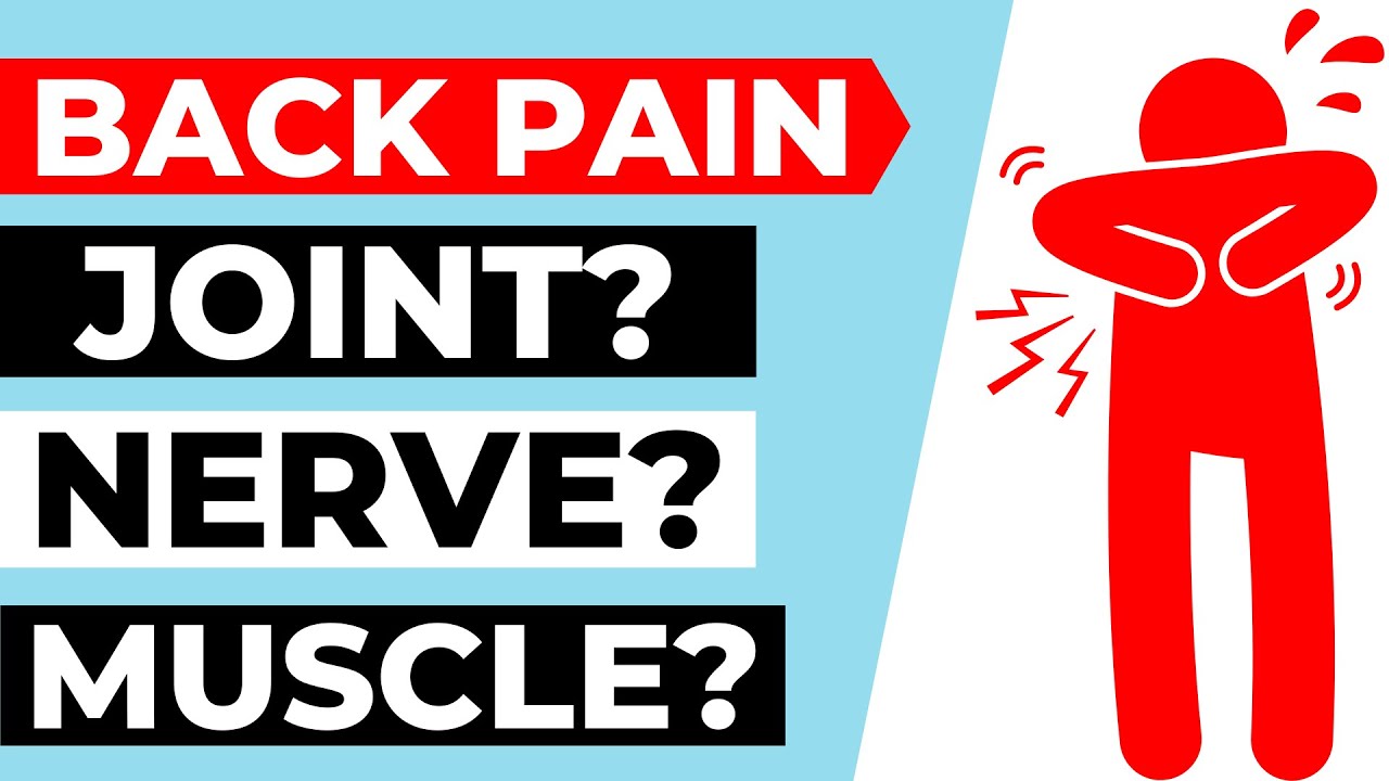 3 Types of Lower back pain (What Do You Have?) - YouTube
