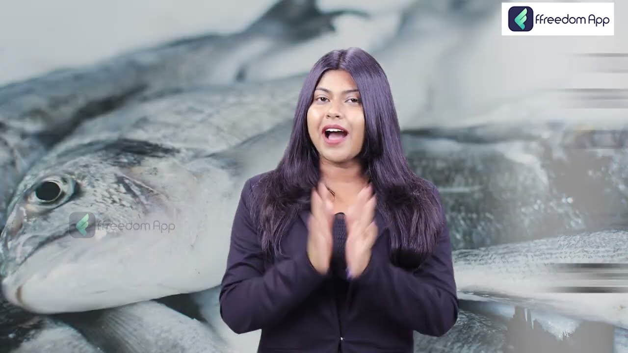 How to Start A Profitable Fish Farming Business | Fish Farming Business ...