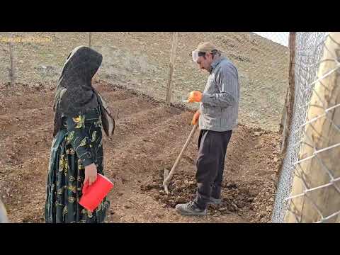 In the heart of the mountains;  are these seeds the beginning of a new life for Ahmad and Farideh?