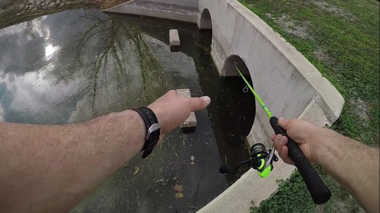 Small Pond Fishing! PreSpawn Pond Bass! How to fish a small pond in ...