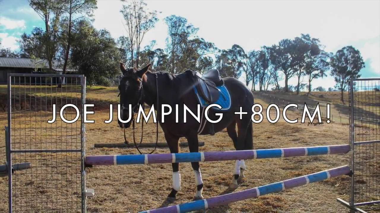 Joe Jumping 80cm + - YouTube