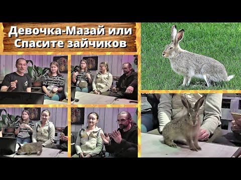 Девочка-Мазай или Спасите зайчиков. Дом Зайца вместе с зайцем.