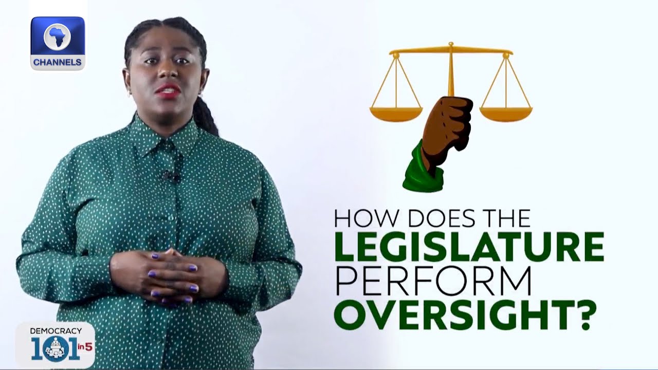How Does The Legislature Perform Oversight? | Democracy 101 In 5 - YouTube