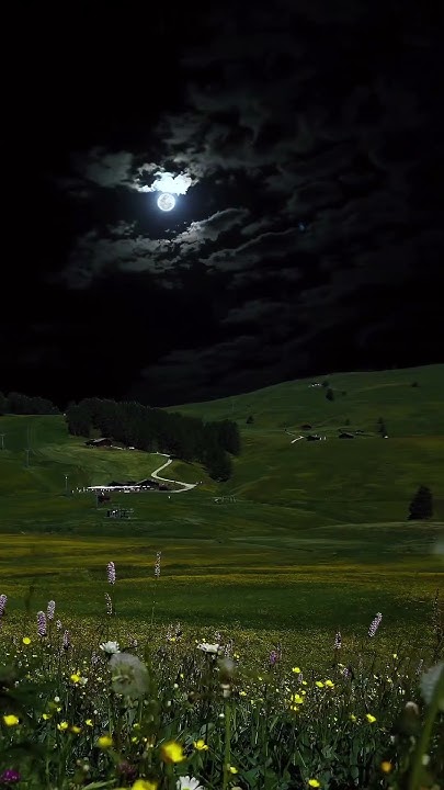 Late at night%2C listen to the chirping of crickets #ytshorts #viral # ...