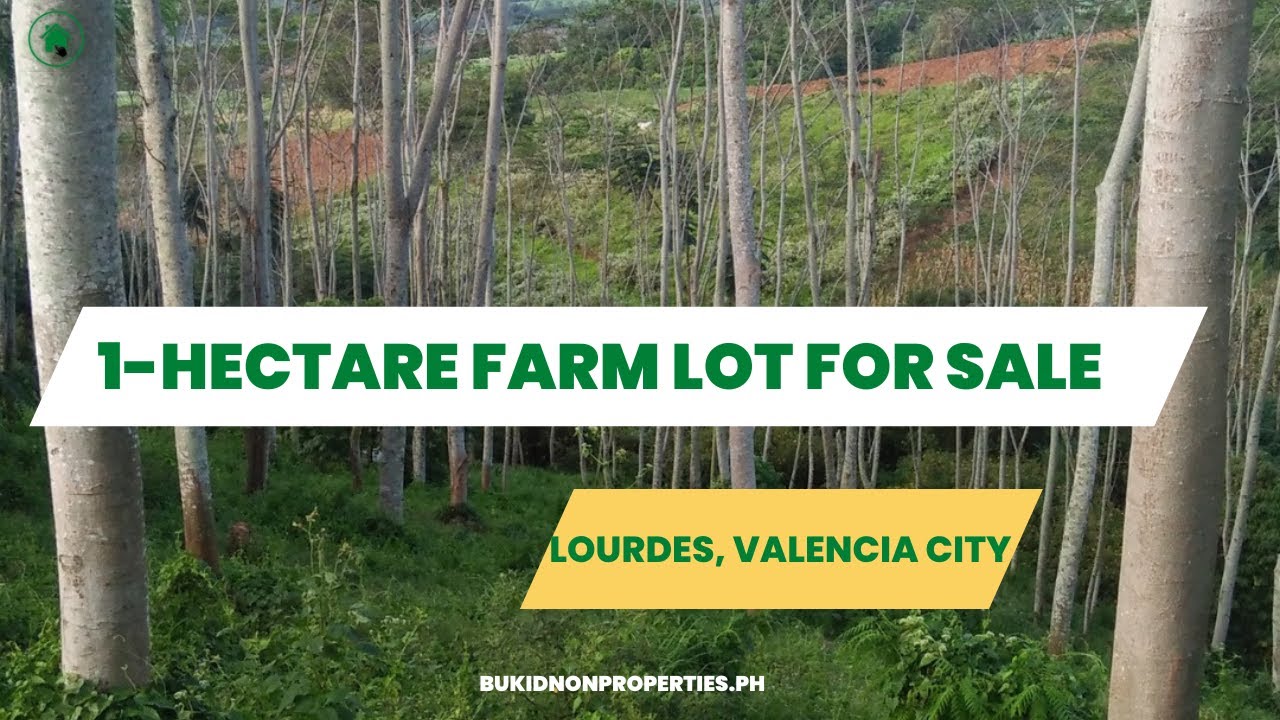 1-Hectare Farm Lot for Sale in Lourdes, Valencia City, Bukidnon - YouTube