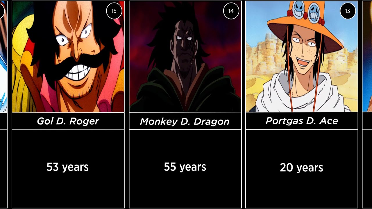 The Age of One Piece Characters - Part 3 | LIST - YouTube