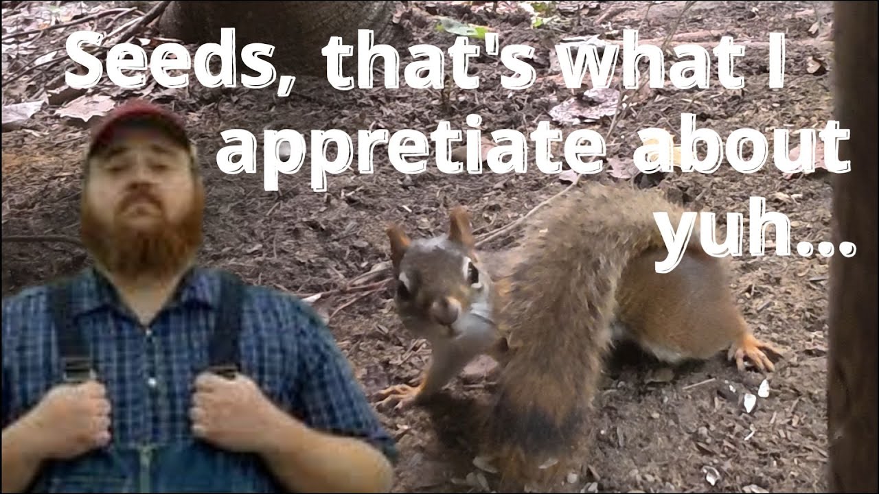 Squirrely Dan Celebrity Sighting - YouTube