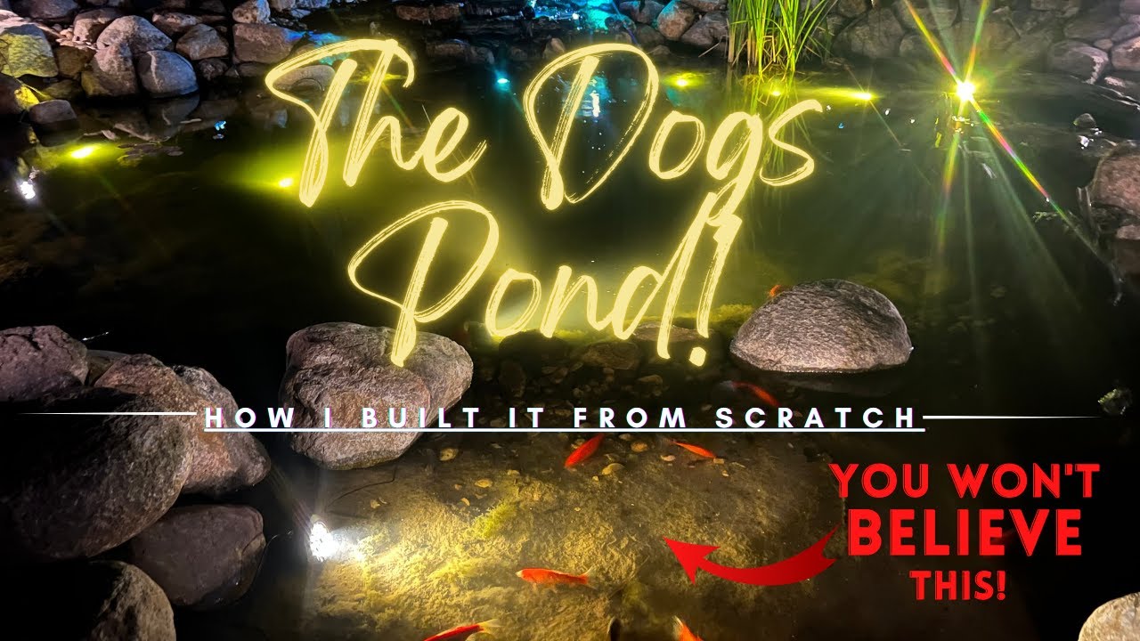The MOST AMAZING thing you'll see today! THE DOGS POND! How I Built It ...