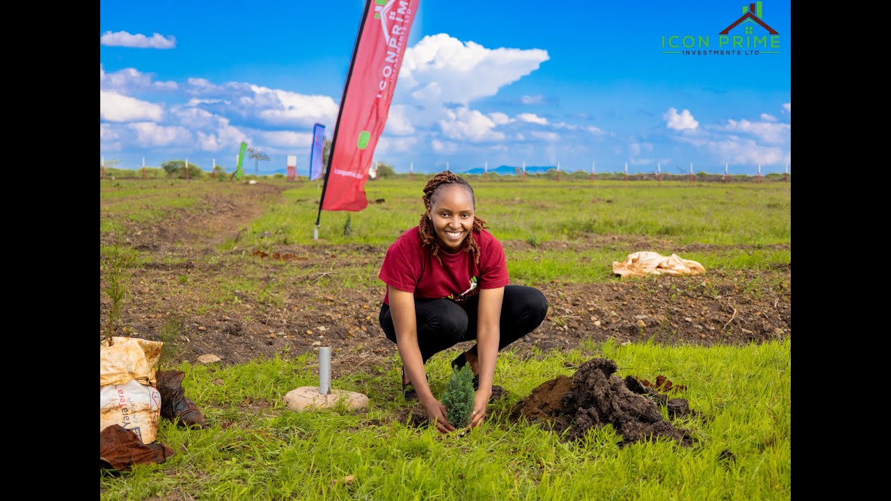 "Elite Bliss Juja Farm: Here is the Third Reason Why You Should Invest ...