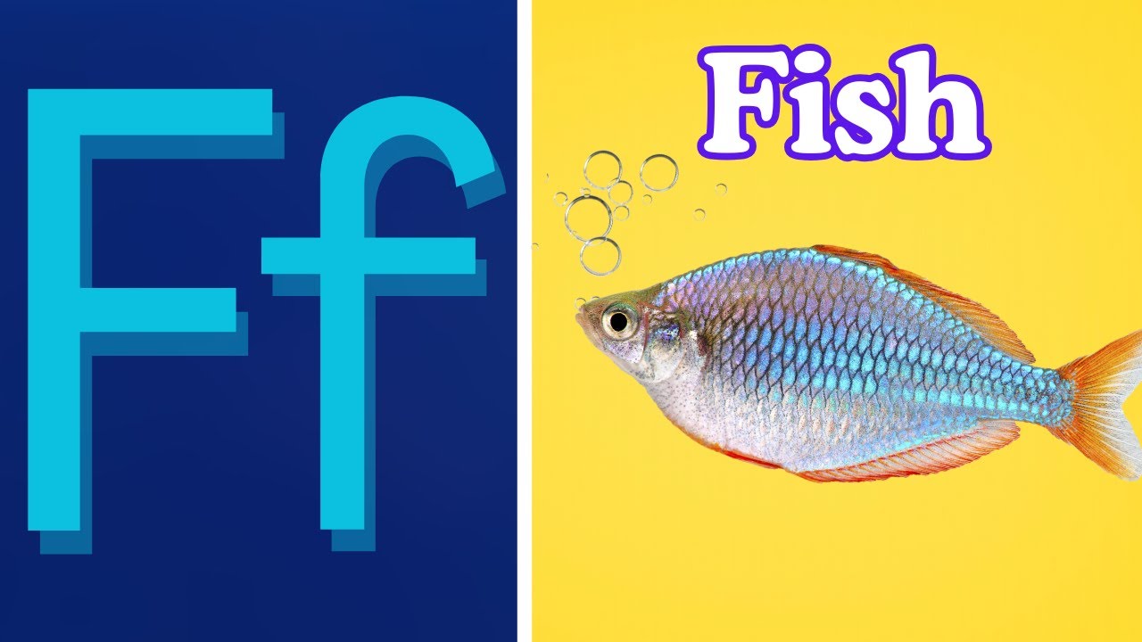 F for Fish 🐠 | F for Flower 🌼 | F Words for Kids | ABC Phonics ...