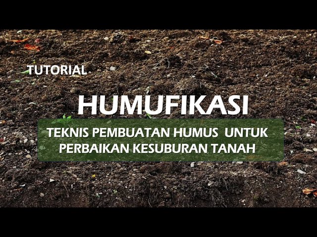 Humus Tanah
