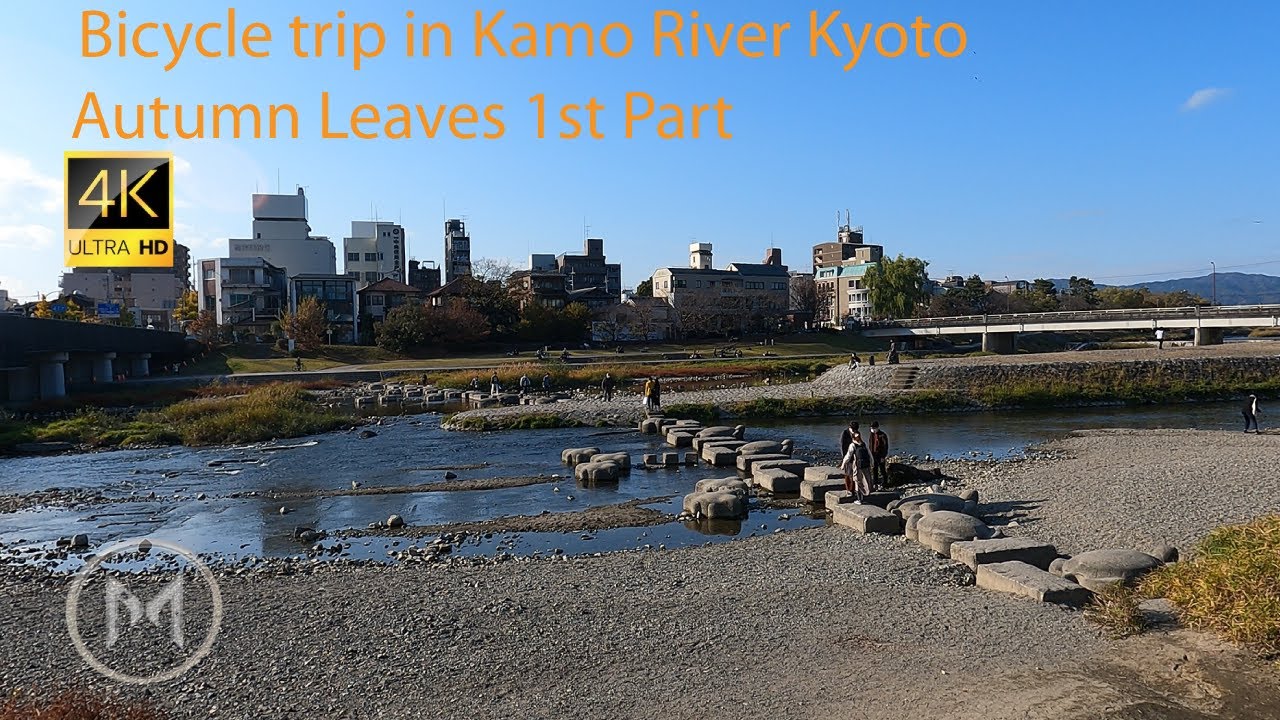 【4K】 Bicycle trip in Kamo River Kyoto Autumn Leaves 1st Part 京都市 - YouTube