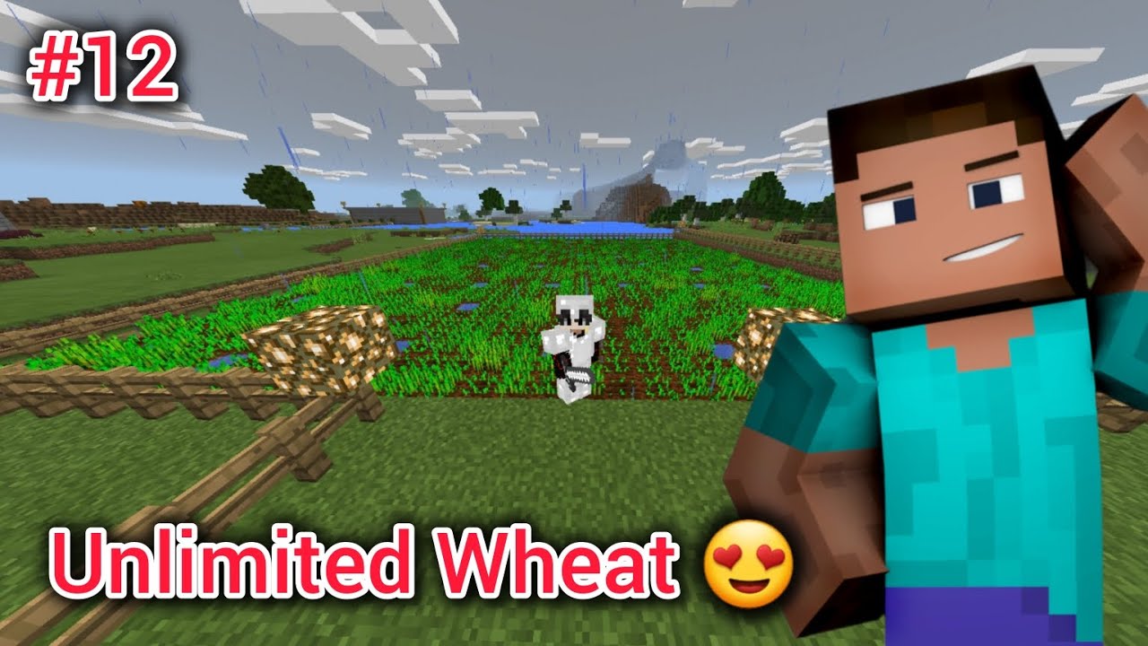 I made unlimited wheat farm in my survival world🤩 || Season 1 Part 12 ...