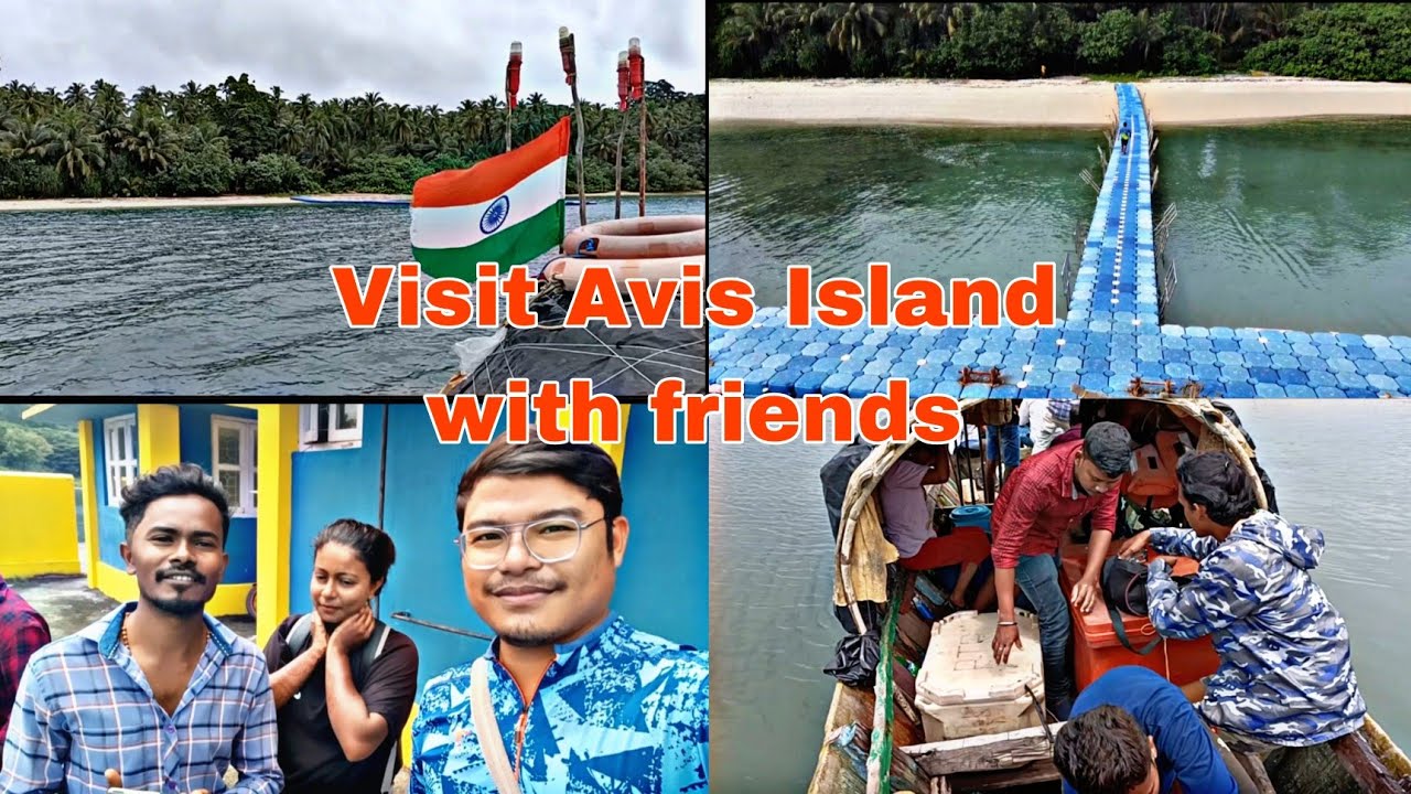 Visit Avis Island With Friends 🏞️ - YouTube