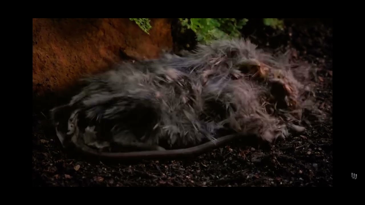 I AM DESCENDING INTO MADNESS AND NNED HELP - YouTube