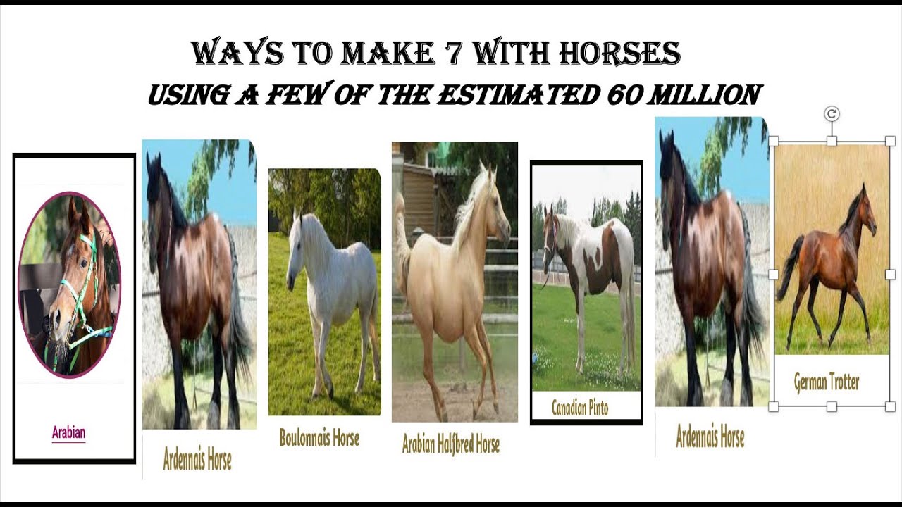Fun With Numbers by Adding Ways to Make 7 With Horses #2 - YouTube
