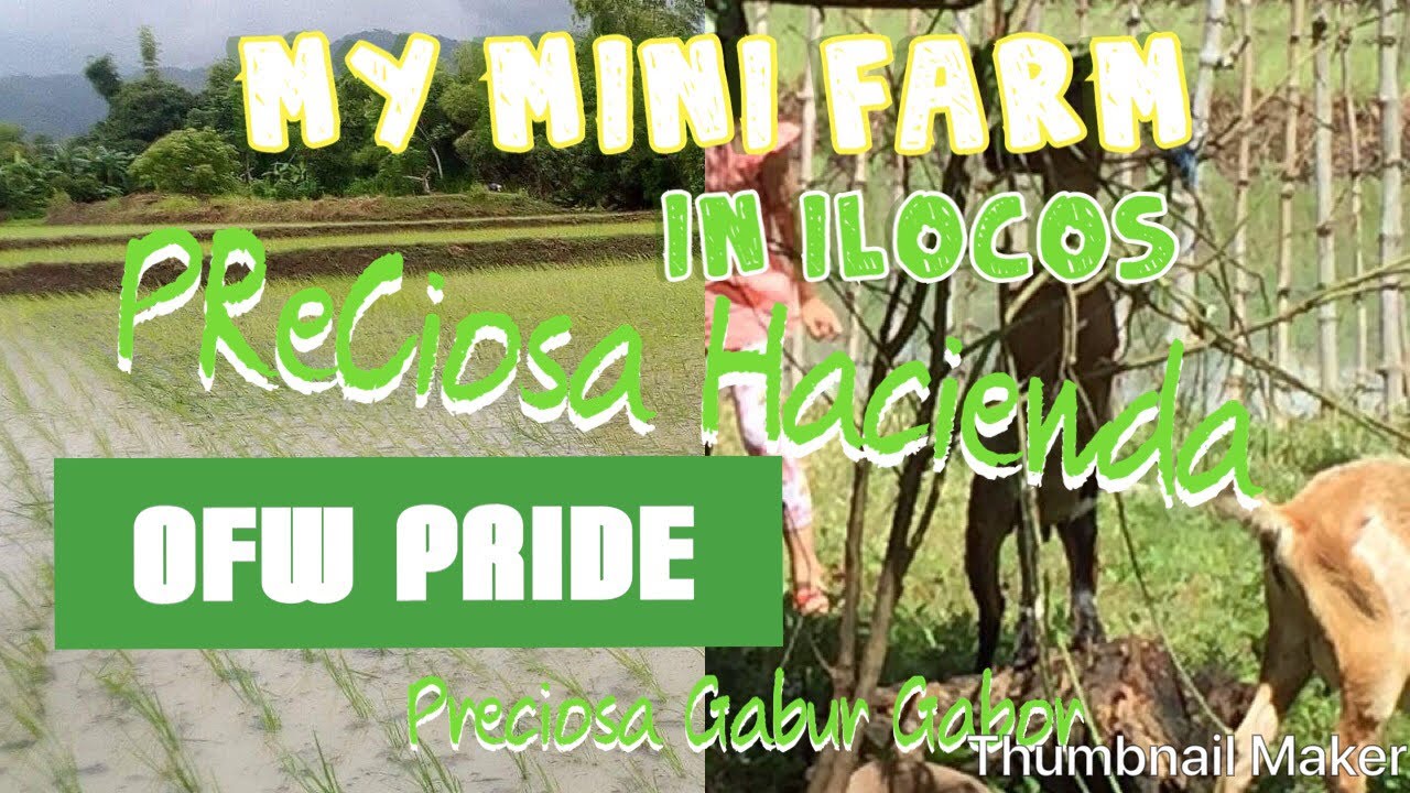 MY MINI FARM | HACIENDA PRECIOSA | SA ILOCOS | OFW PRIDE - YouTube