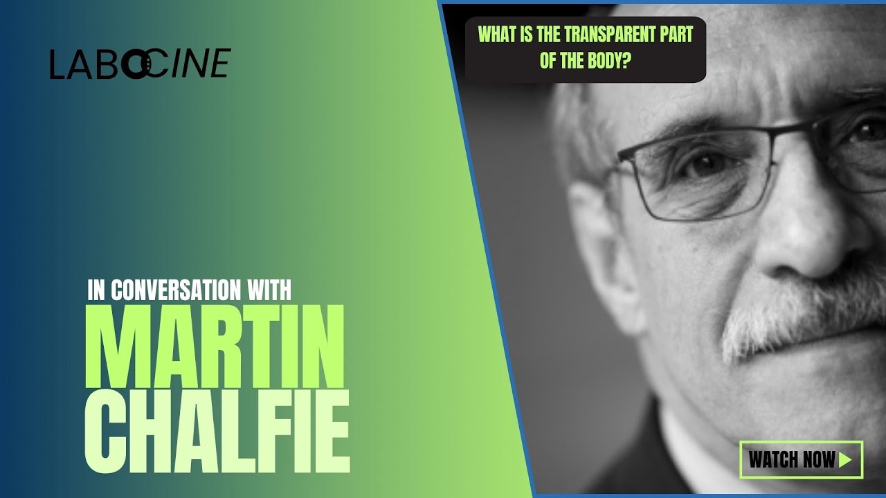 What is the transparent part of the body? ~ In Conversation with Martin ...