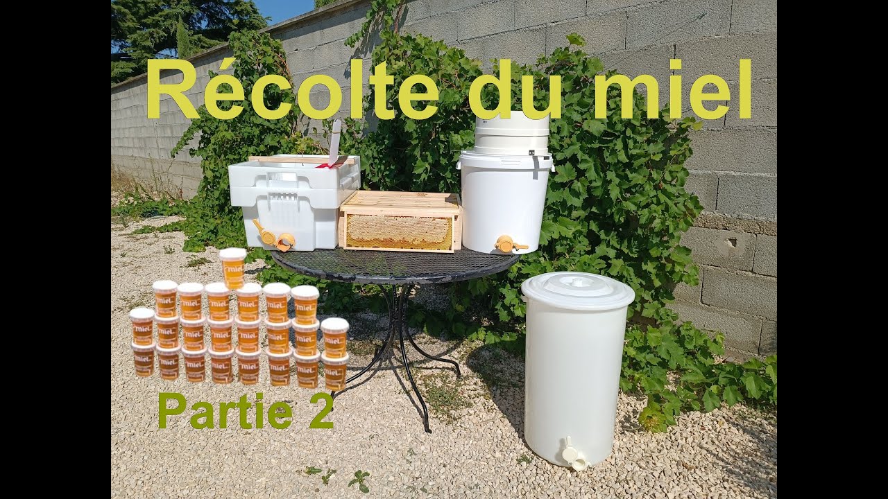 Ma première récolte de miel !!! (Partie 2: Traitement du miel) - YouTube