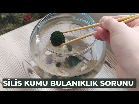 Silis Kumu Bulanıklık Sorunu Çözümü